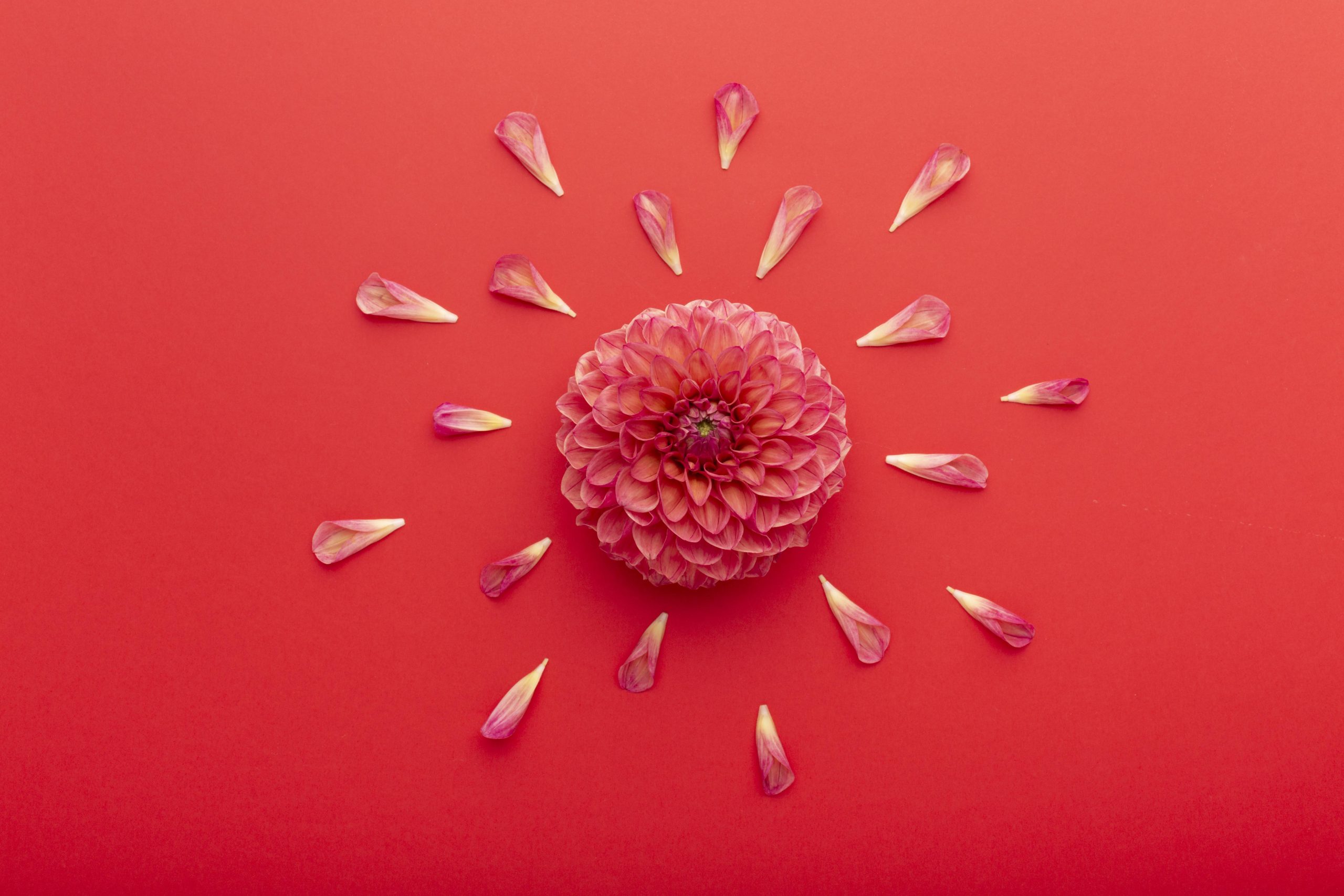 Ce afecțiuni poate indica sângerarea post-menopauză? - OrtoGyn Medical